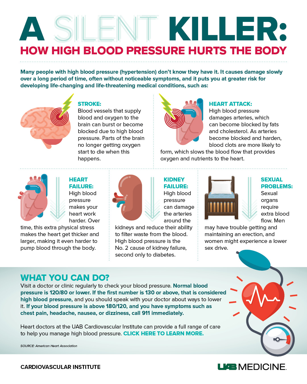 A Silent Killer: How High Blood Pressure Hurts the Body