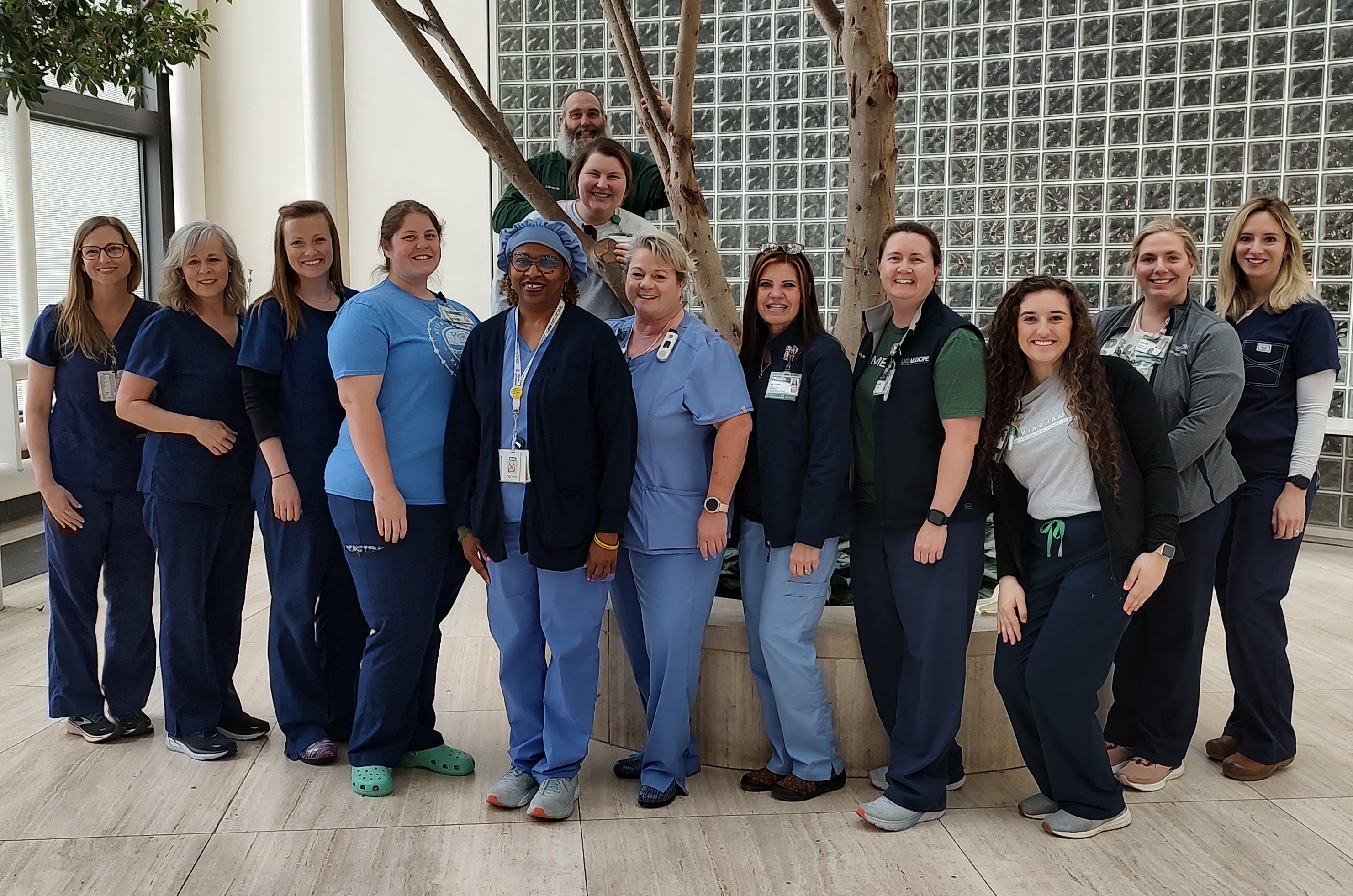 Ambulatory Nurse Practice Council turns insights into solutions