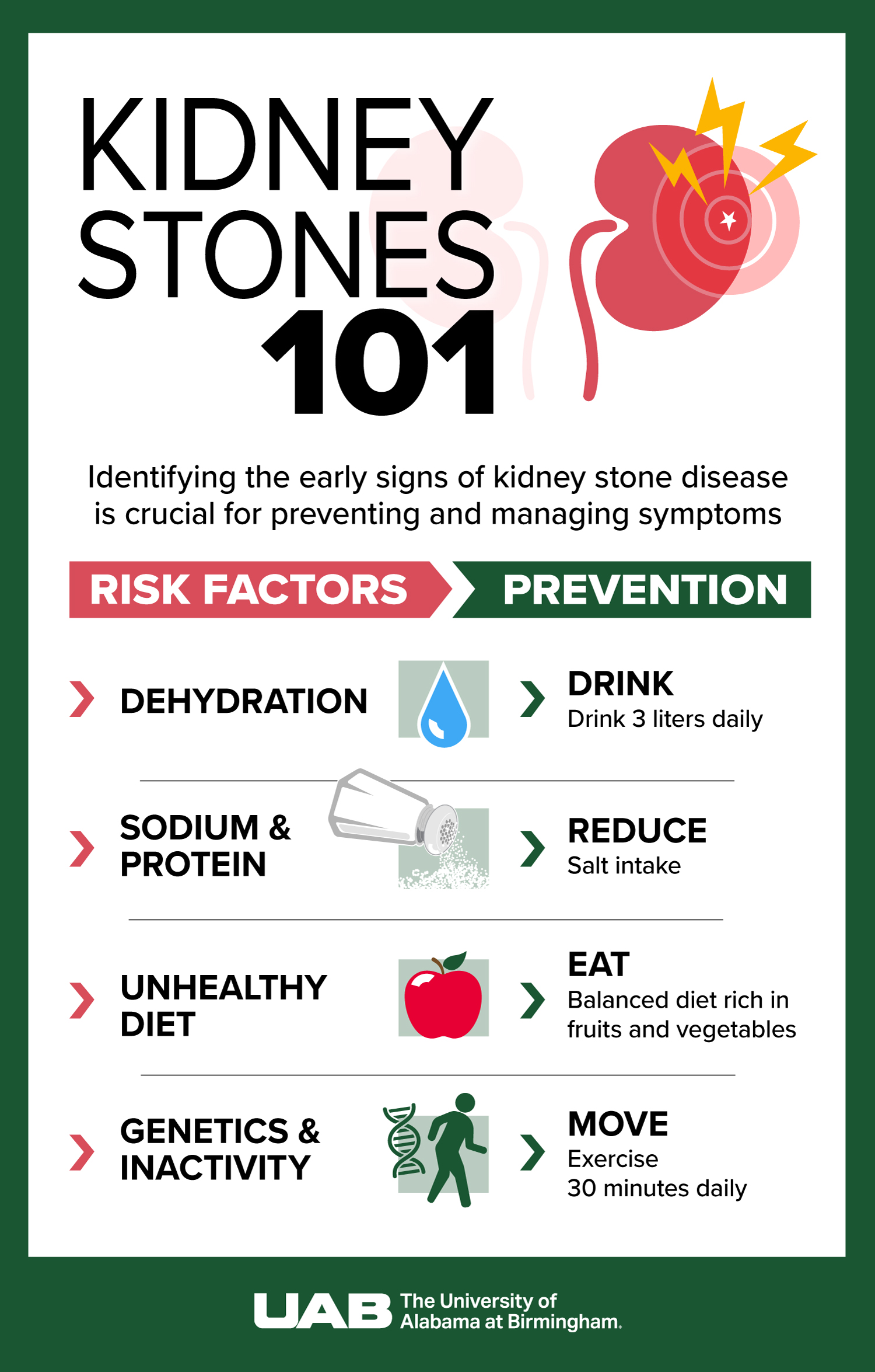Understanding kidney stones: A UAB expert explains
