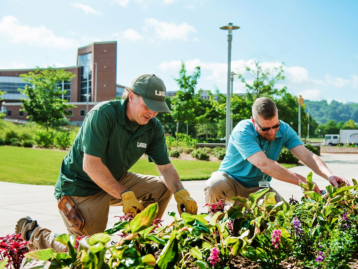 Beacon Recovery Program